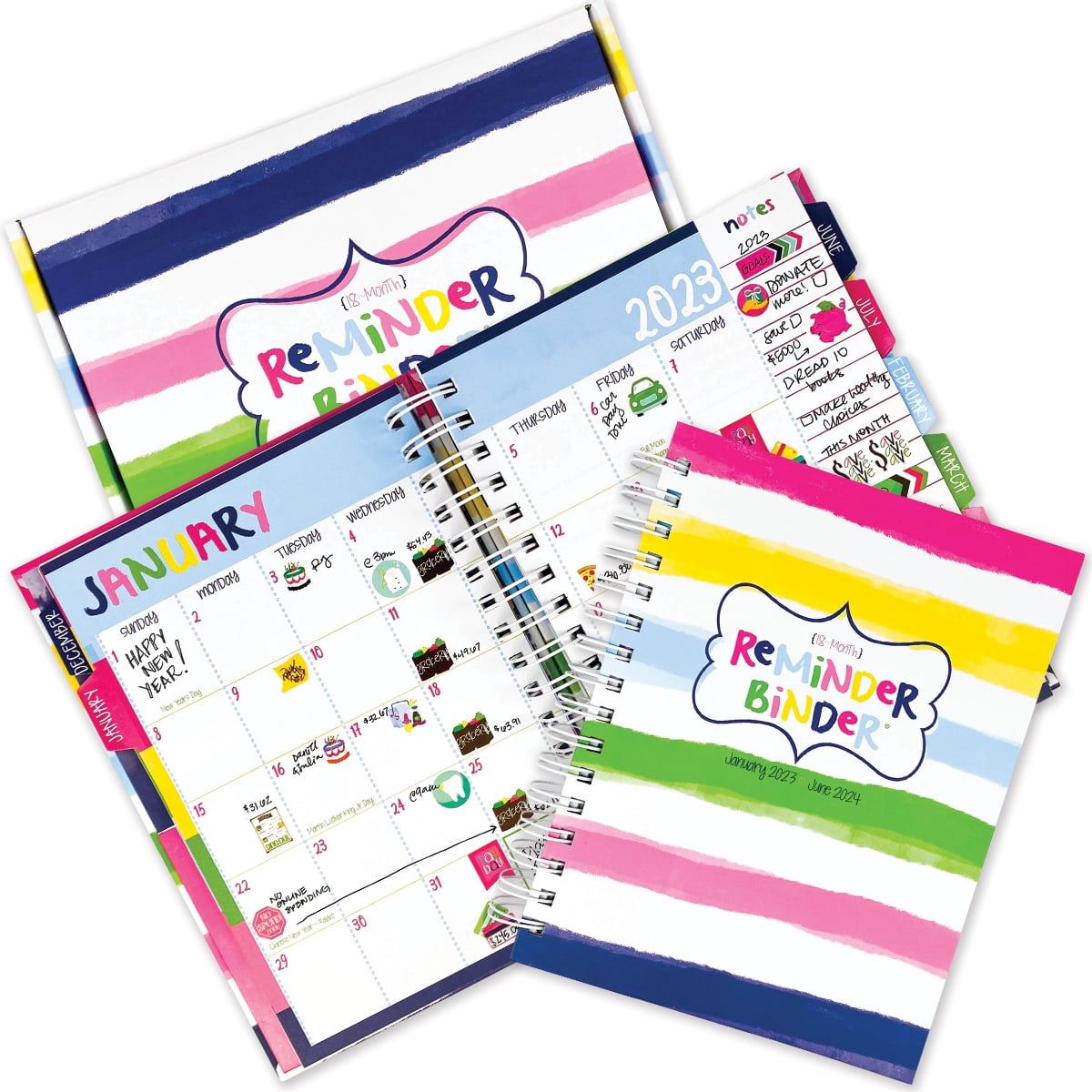 Reminder Binder® 2023-2024 Planner; 18-month Calendar with 361 Planner ...