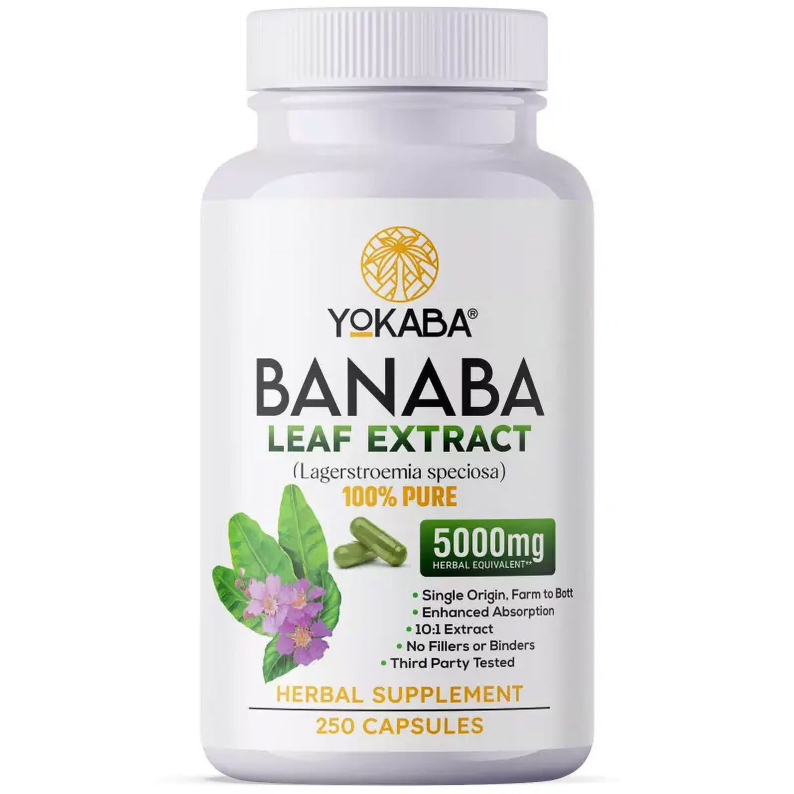 Remingo 500 Capsules BANABA Leaf Extract 5000mg Corosolic Acid 3.8mg ...
