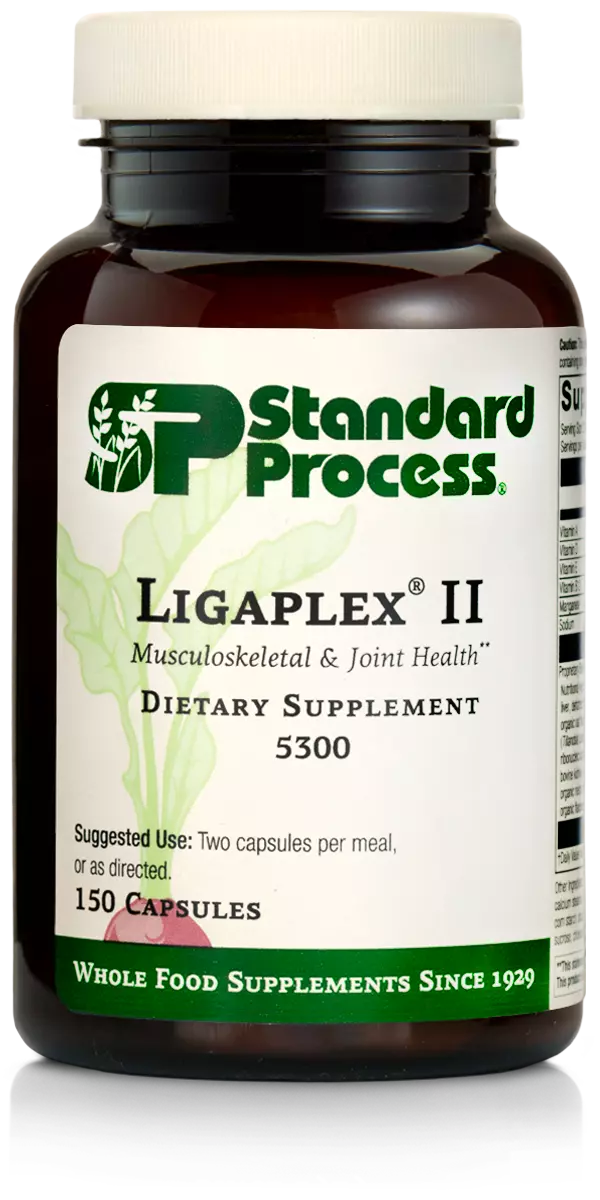 Remingo Standard Process Ligaplex II Whole Food RNA Supplement, 150 ...