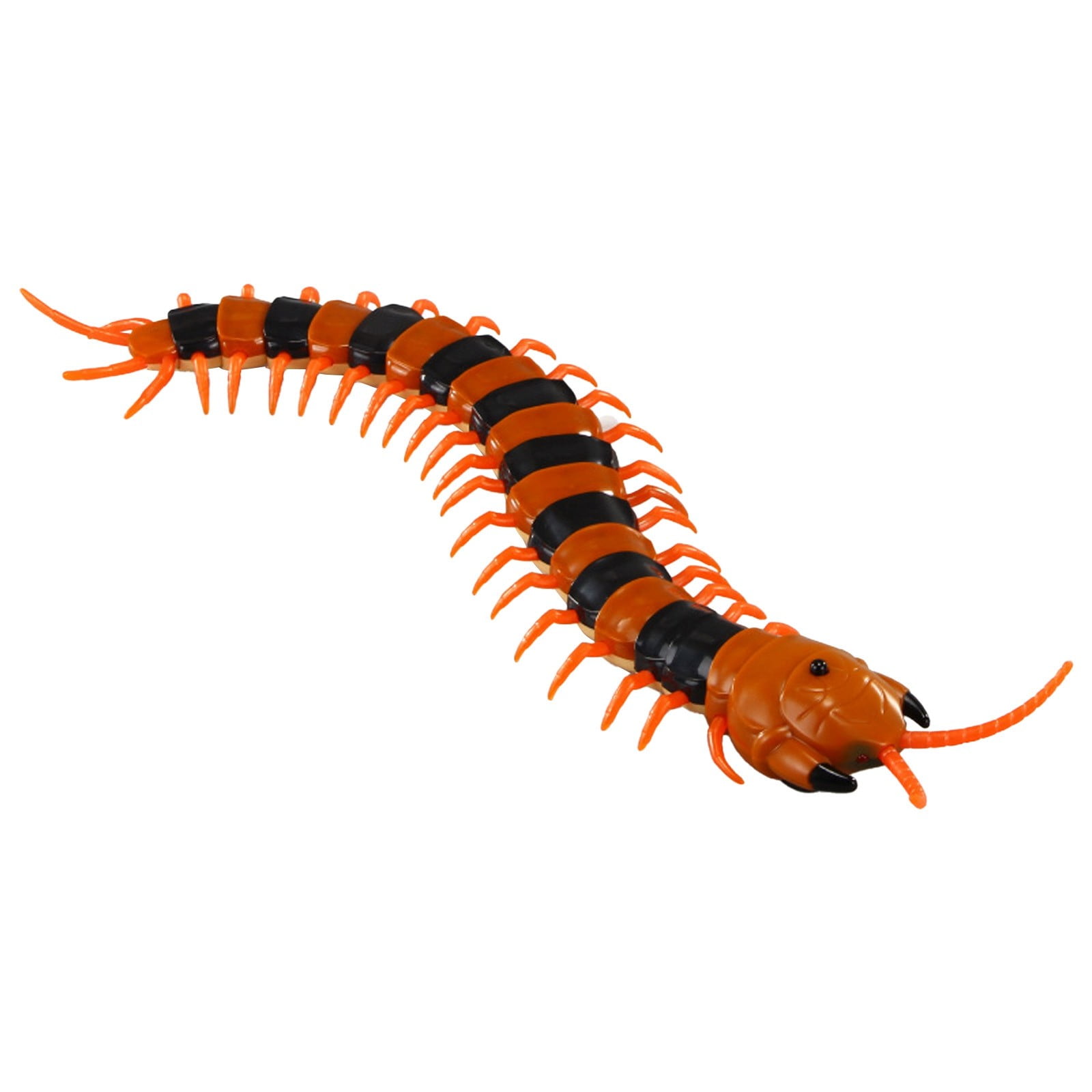 Remote Control Crawling Centipede Super Realistic Design for ...