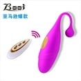 Remote Control G Spot Wearable Panty Mini Egg Vibrator With 10