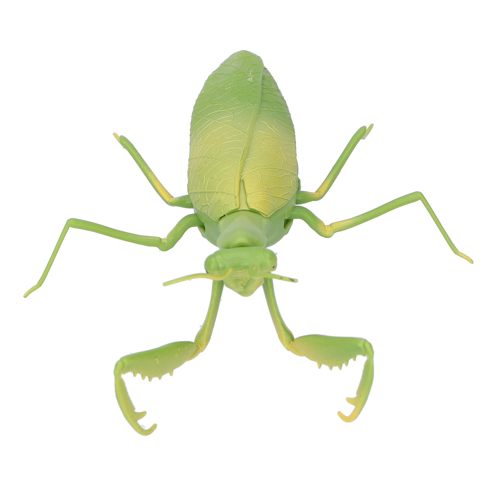 Remote Control Insects RC Animals Children Adults Trick Toys Electric ...