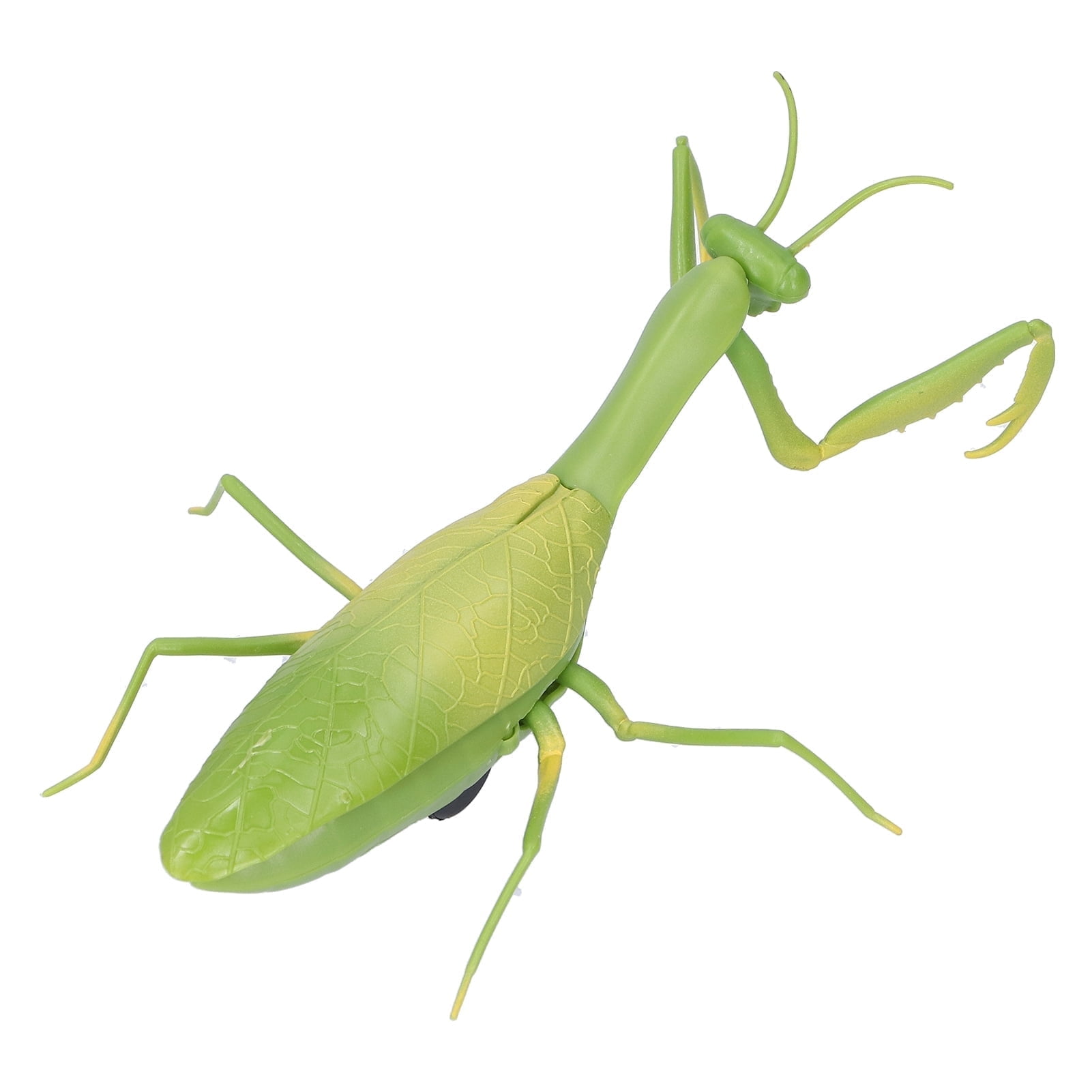Pray Mantis Type