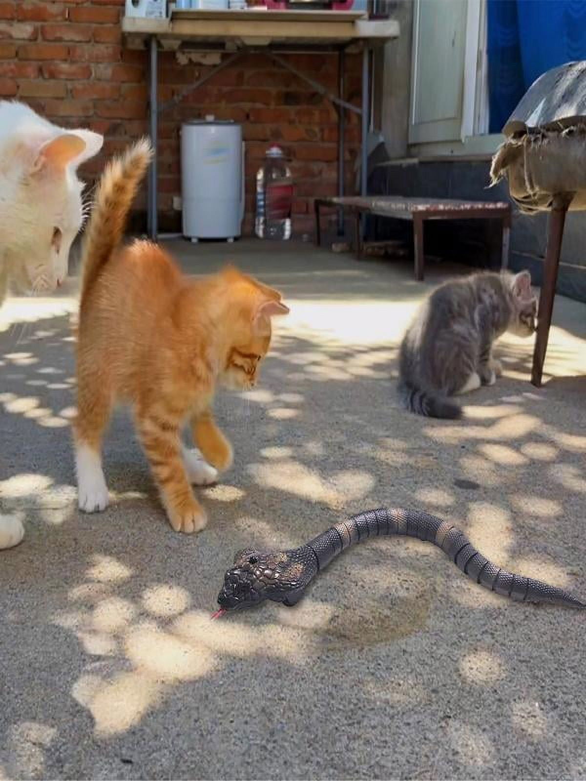 Remote Control Rattle Snake Infrared Remote Control Ringing Tail Animal ...