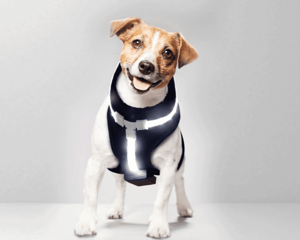 Remote-Controlled Reflective LED Safety Vest for Your Dog & Cat For ...