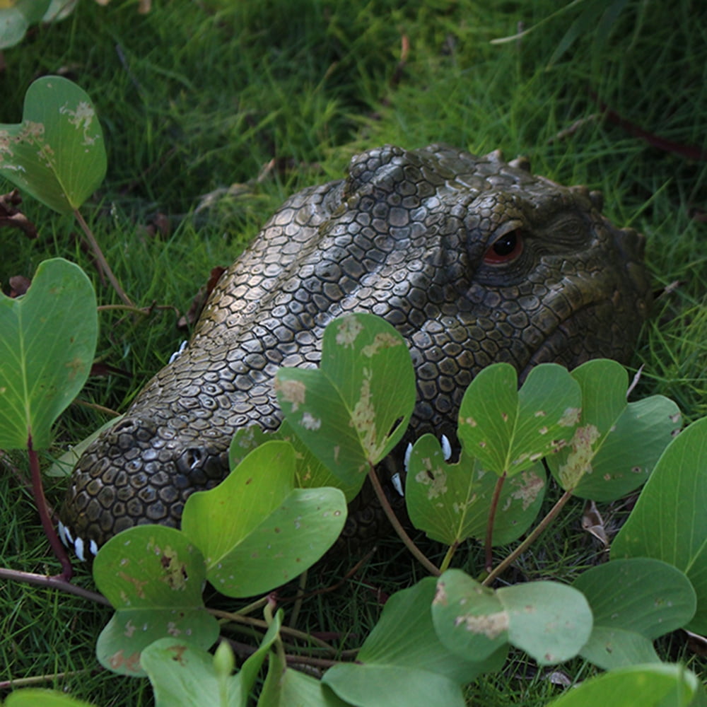 Remote boat,Head Spoof Toy Pool With Head Pools Remote Of A Head Toy ...
