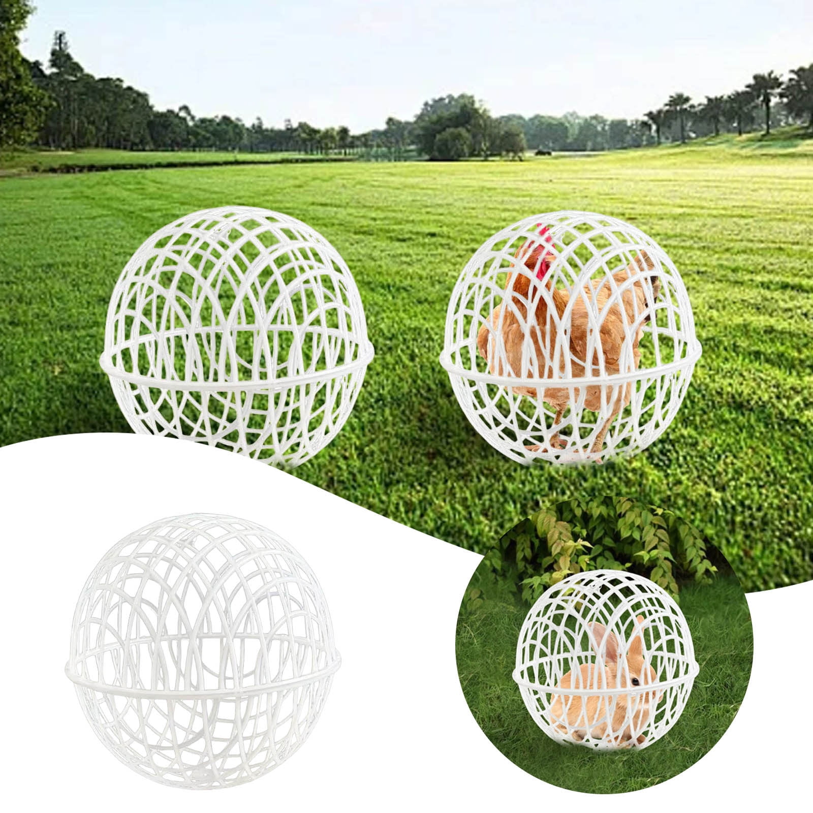 Removable Safety Cage Chicken Coop Ball Cage Rolling Enclosure Outdoor ...