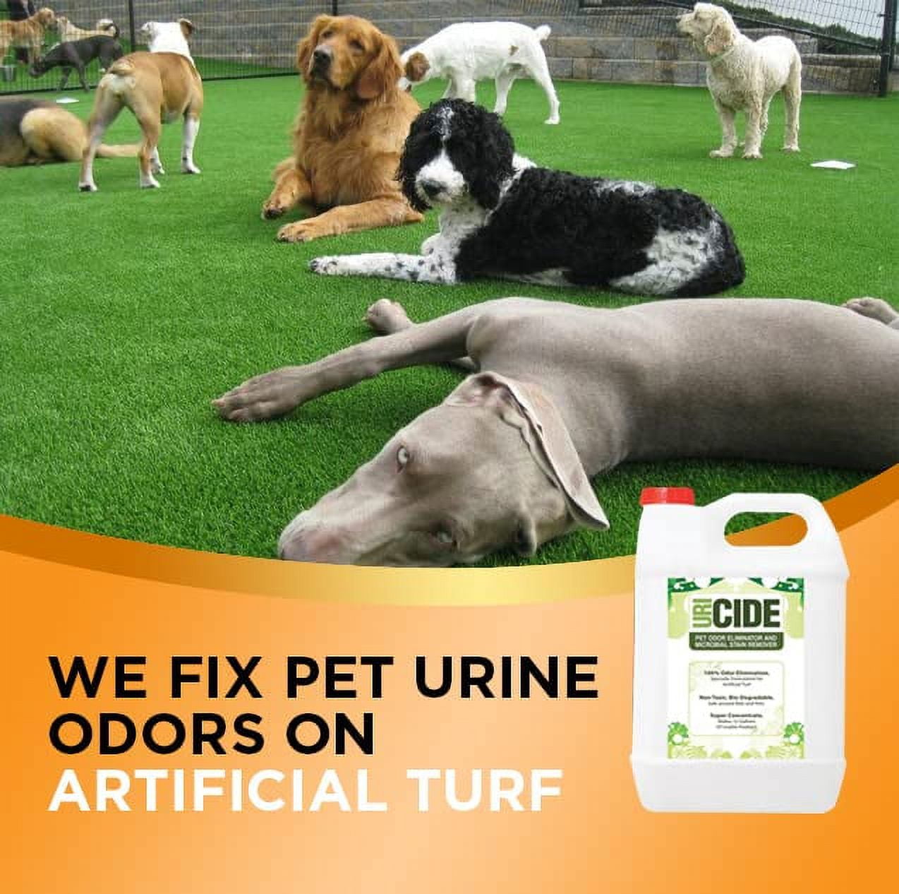 Remove Pet Urine Smells from Artificial Turf. Makes 10 Gallons of ...