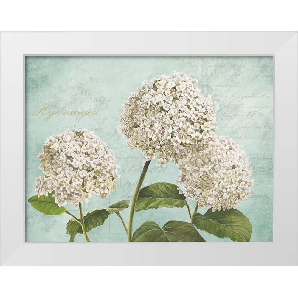 Remy, Dellal 14x12 White Modern Wood Framed Museum Art Print Titled ...
