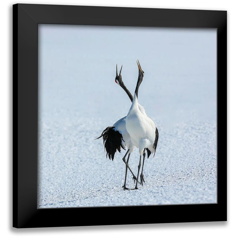 Ren Rong, Raymond 20x20 Black Modern Framed Museum Art Print Titled ...