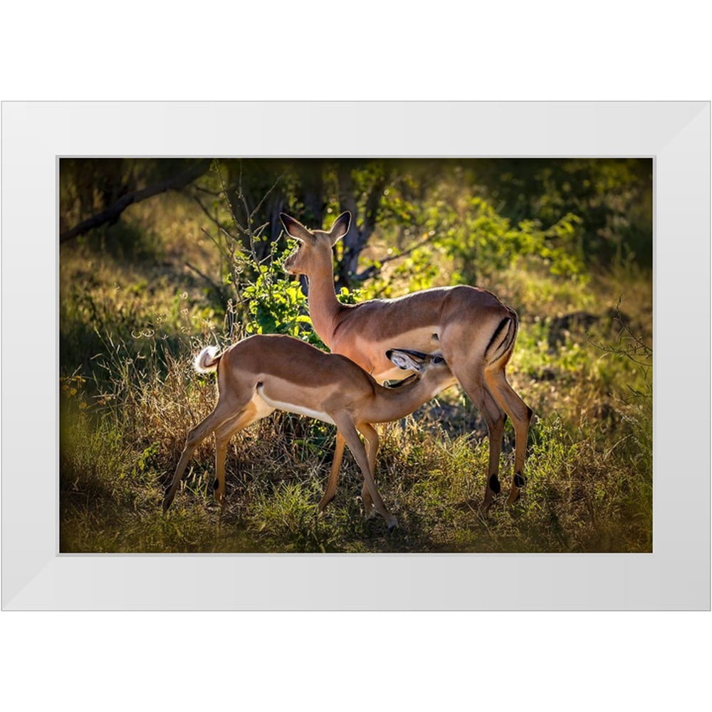 Ren Rong, Raymond 24x17 White Modern Wood Framed Museum Art Print ...