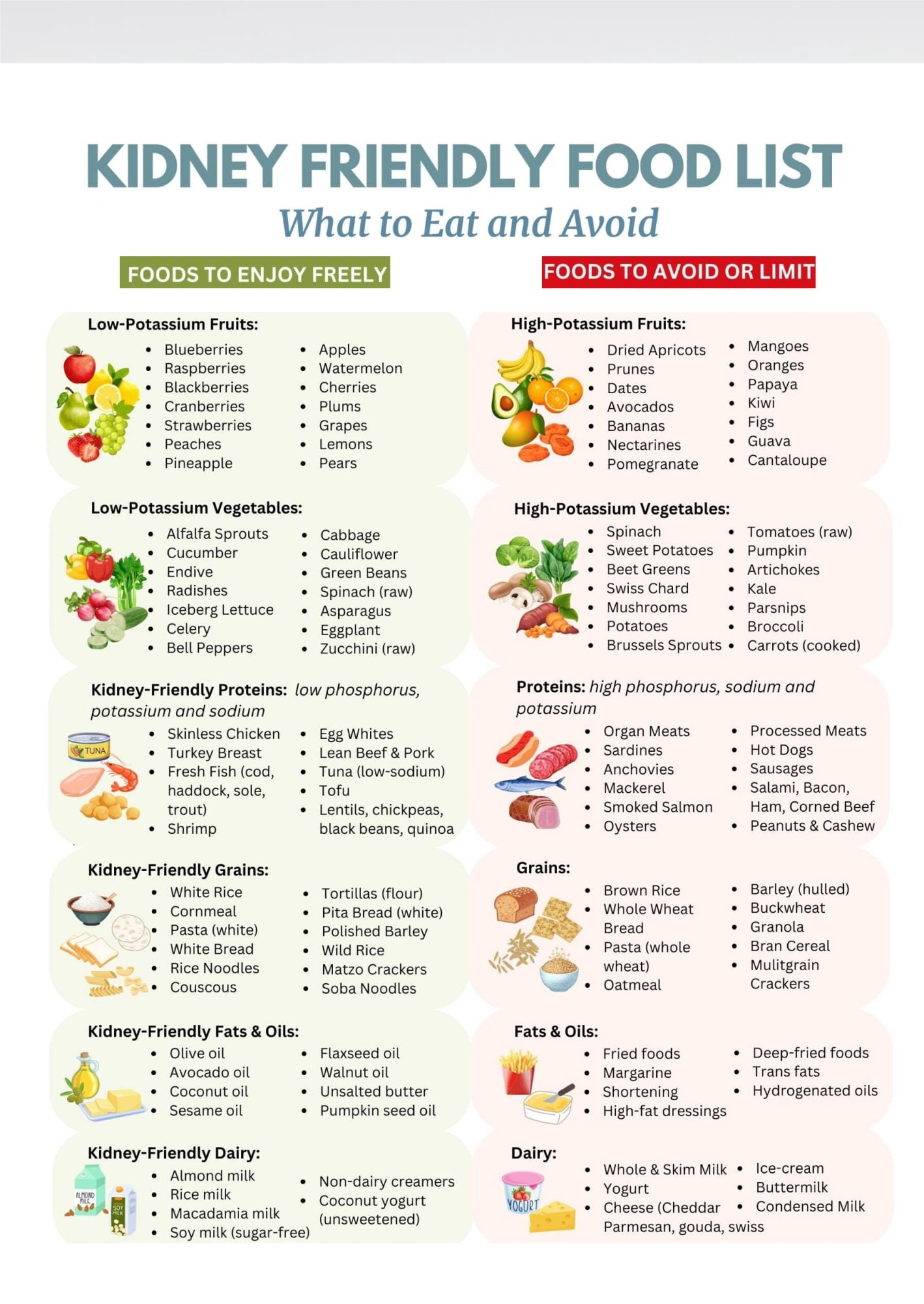 Renal Diet & Kidney Friendly Food List - Low Potassium Low Sodium for ...