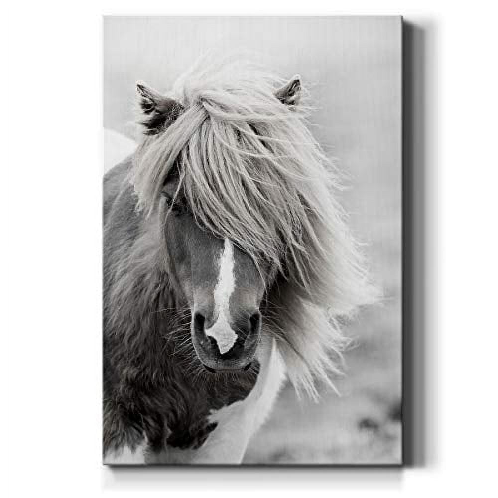 Renditions Gallery Shetland Pony Wall Art, Realistic Black & White ...