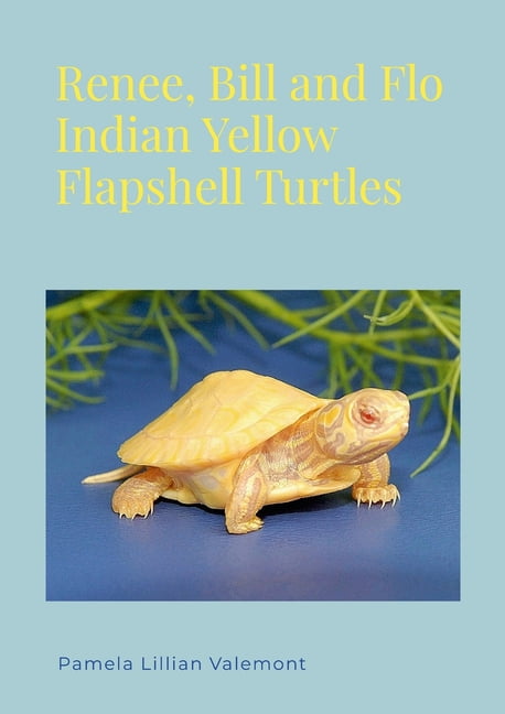 Renee, Bill and Flo Indian Yellow Flapshell Turtles, (Paperback ...