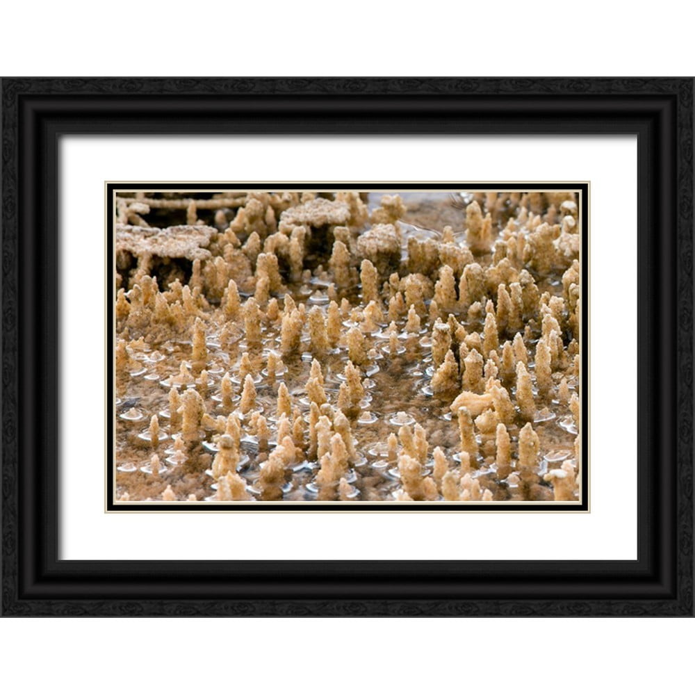 Renkin, Diane 18x13 Black Ornate Wood Framed with Double Matting Museum ...