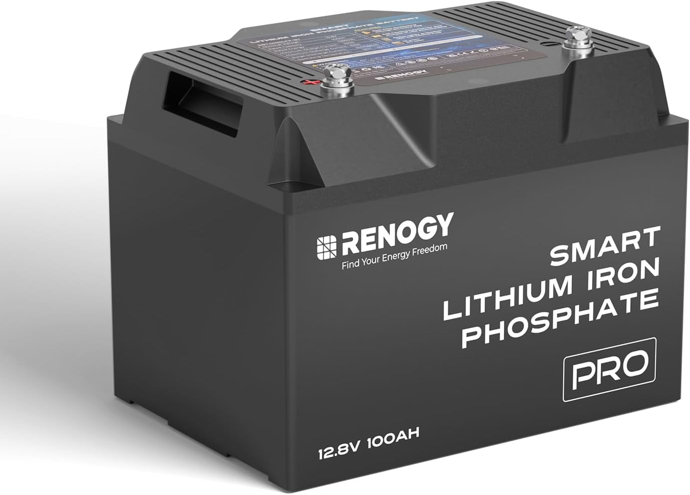 Renogy 12V 100Ah Bluetooth Self-Heating Lithium LiFePO4 Deep Cycle ...