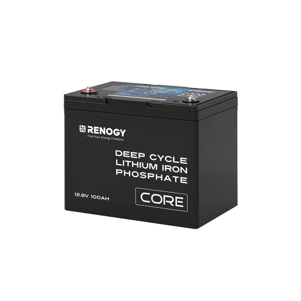 Renogy 12V 100Ah LiFePO4 Deep Cycle Battery, 5000+Deep Cycles, 100A BMS ...