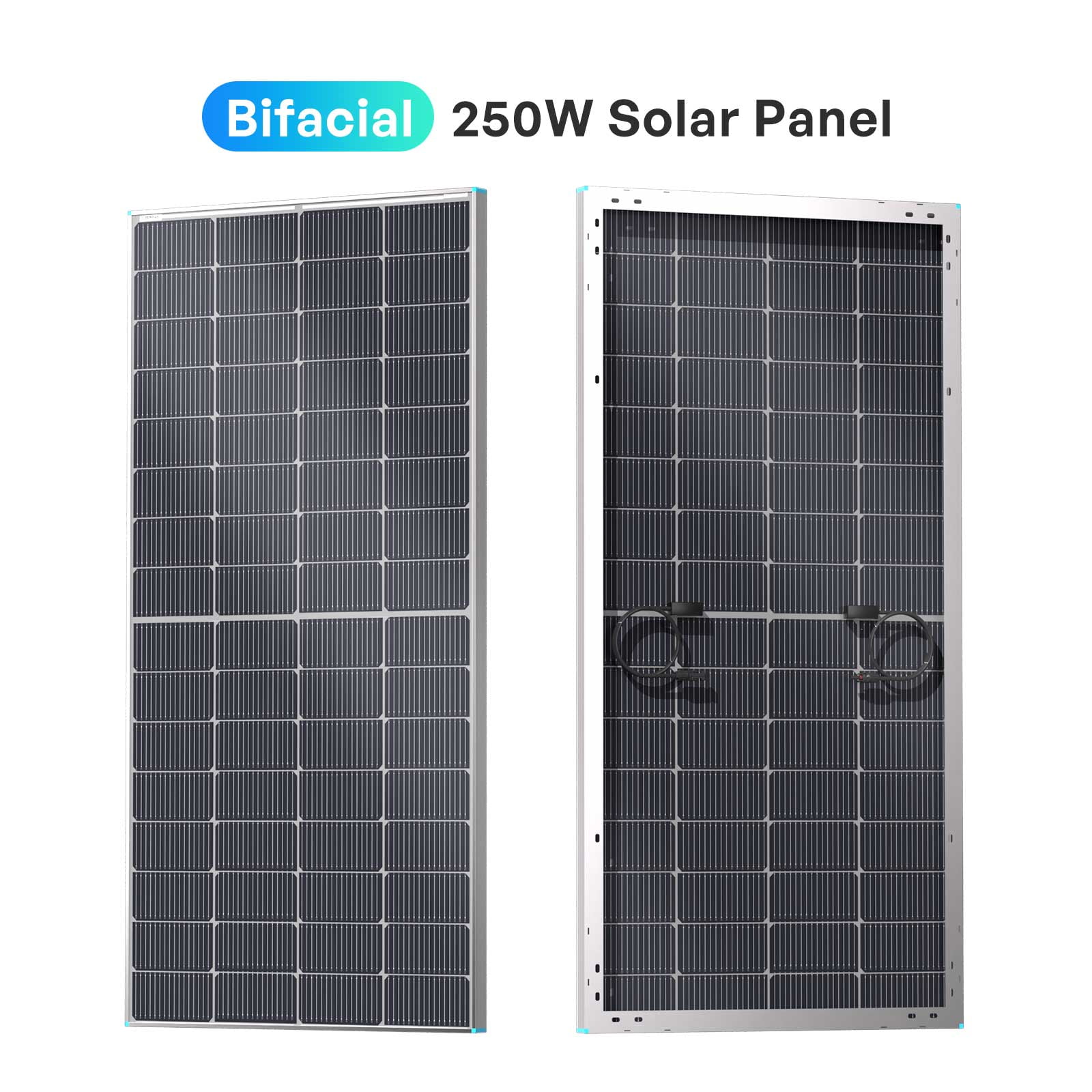 Renogy Bifacial Solar Panel 250 Watt 12V 16BB N-Type, Double-Side 25% ...