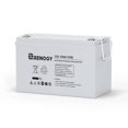 Renogy Deep Cycle AGM 12 Volt - Walmart.com