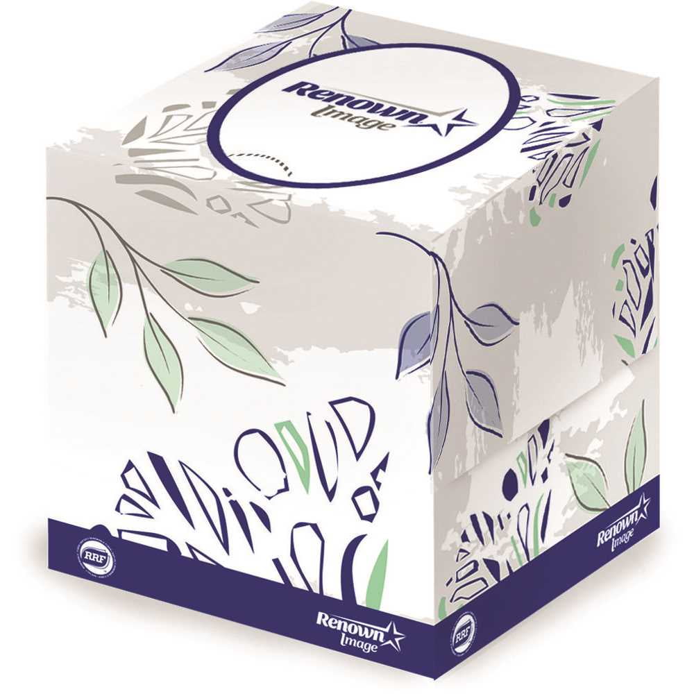 Renown REN06038-SP Premium Cube Box 2-Ply Facial Tissue Bright White - pack of 36 - Walmart.com