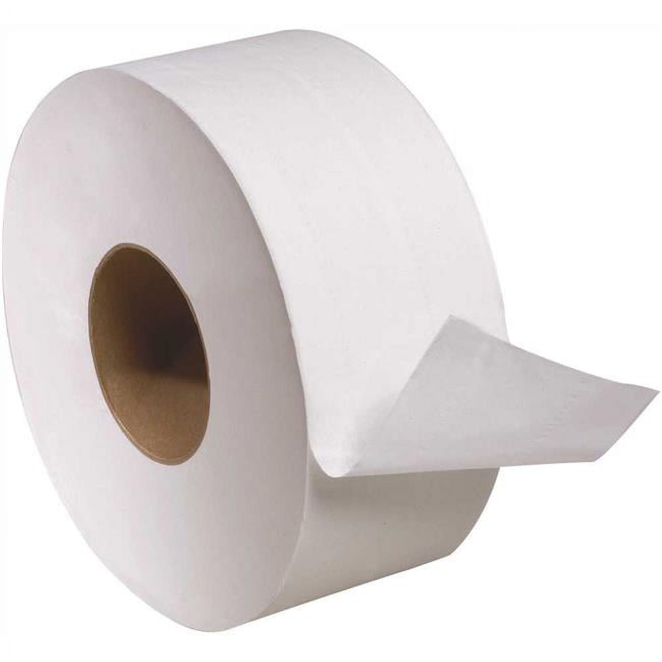 Renown REN06320WB 1000 ft. 2-Ply Jumbo Roll Toilet Paper - Walmart.com