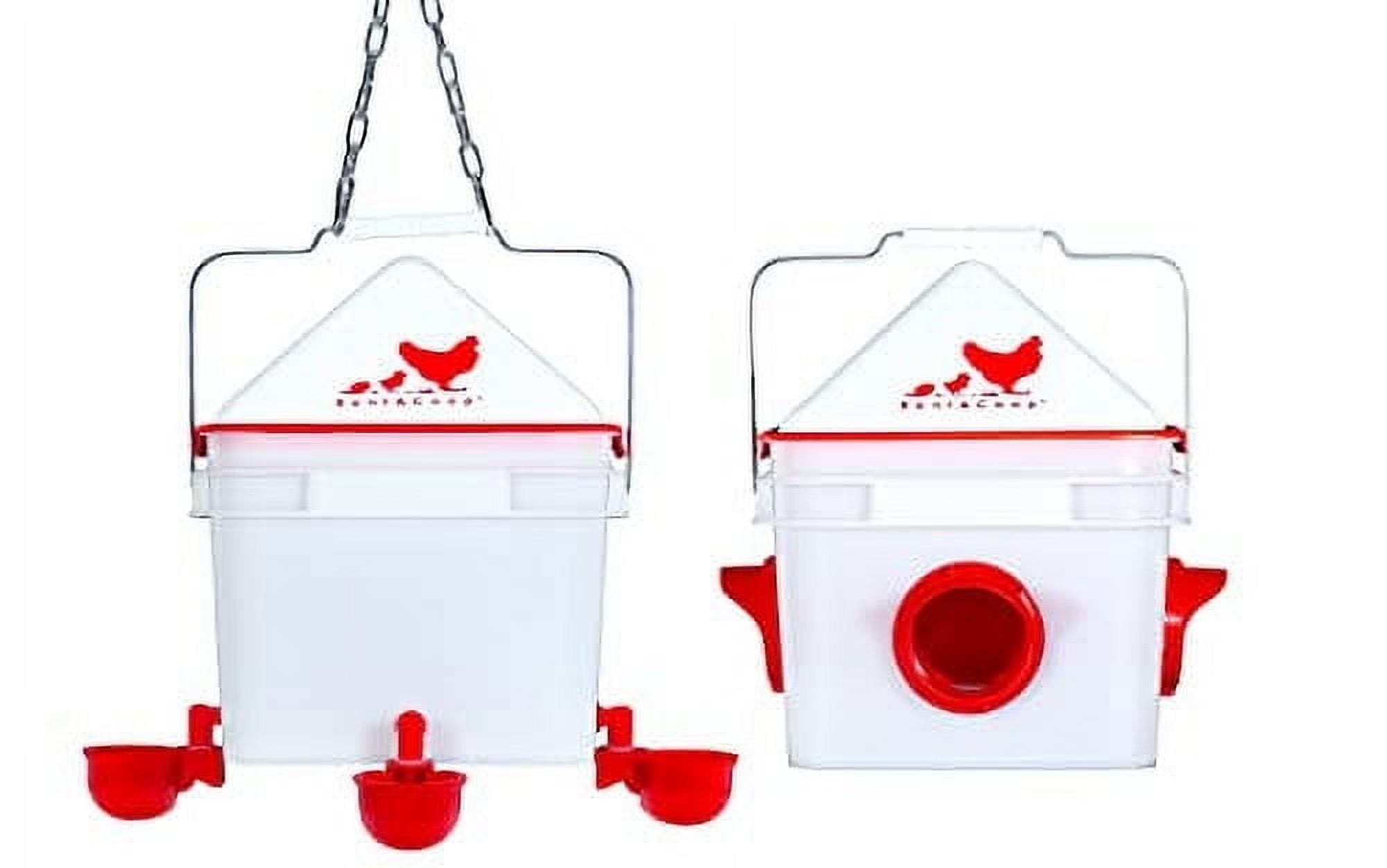 RentACoop Chick2Chicken 10lb Feeder & 2 Gal Waterer Set with Gravity ...