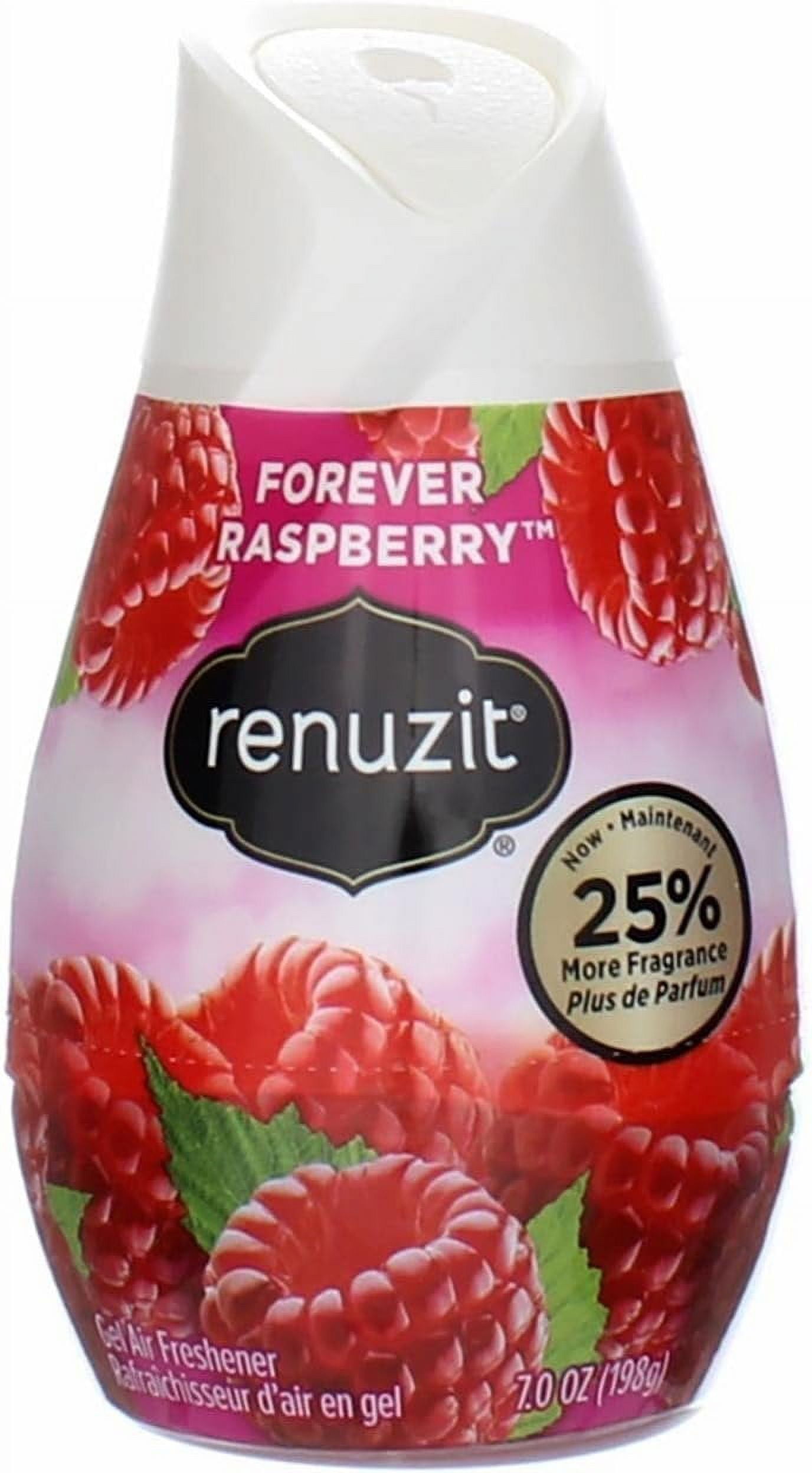 Renuzit 03667 7 Oz Raspberry Adjustable Aroma Cone Air Freshener ...
