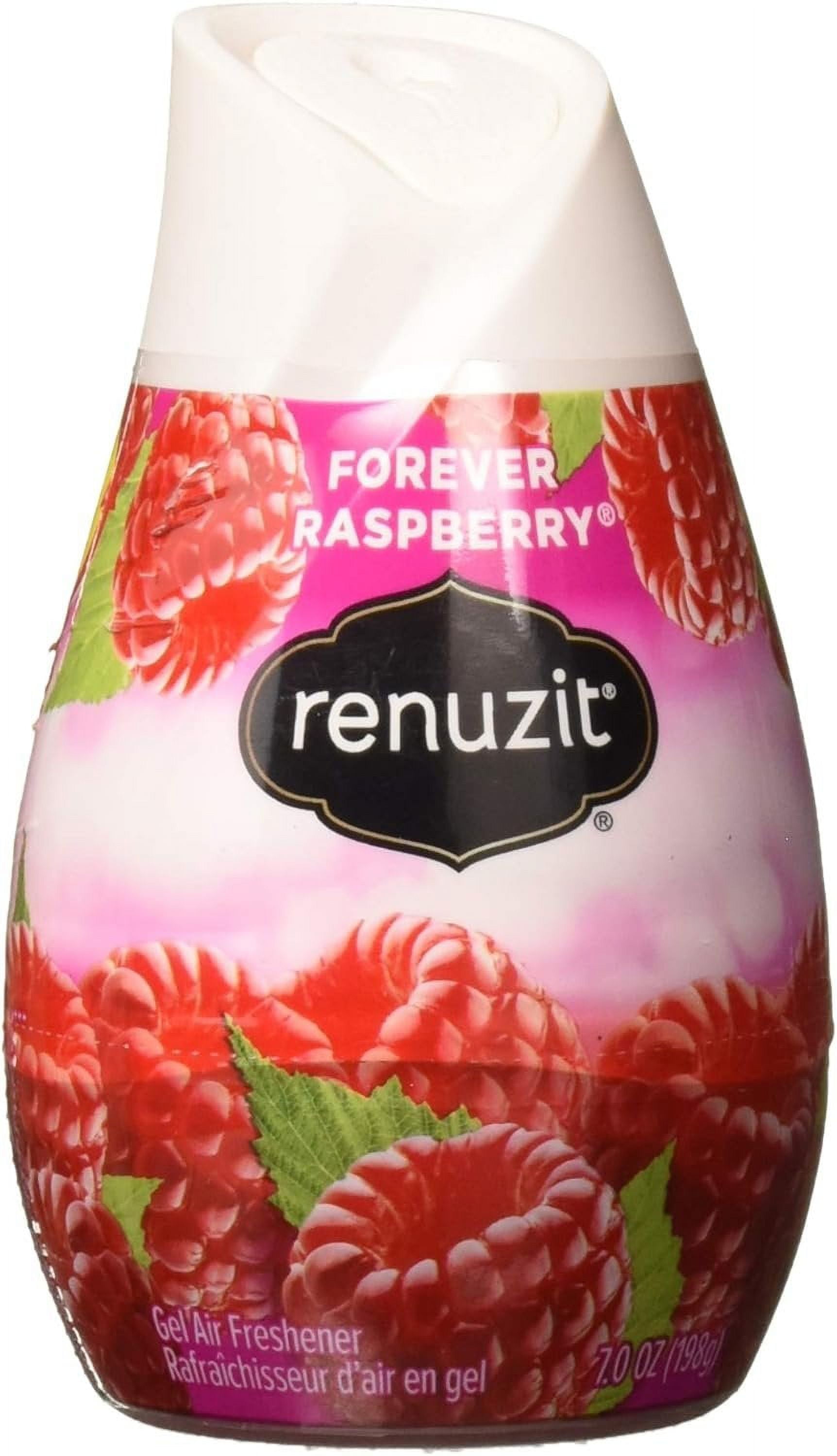 Renuzit Adjustables Gel Air Freshener, Raspberry, 7 Ounce - Walmart.com