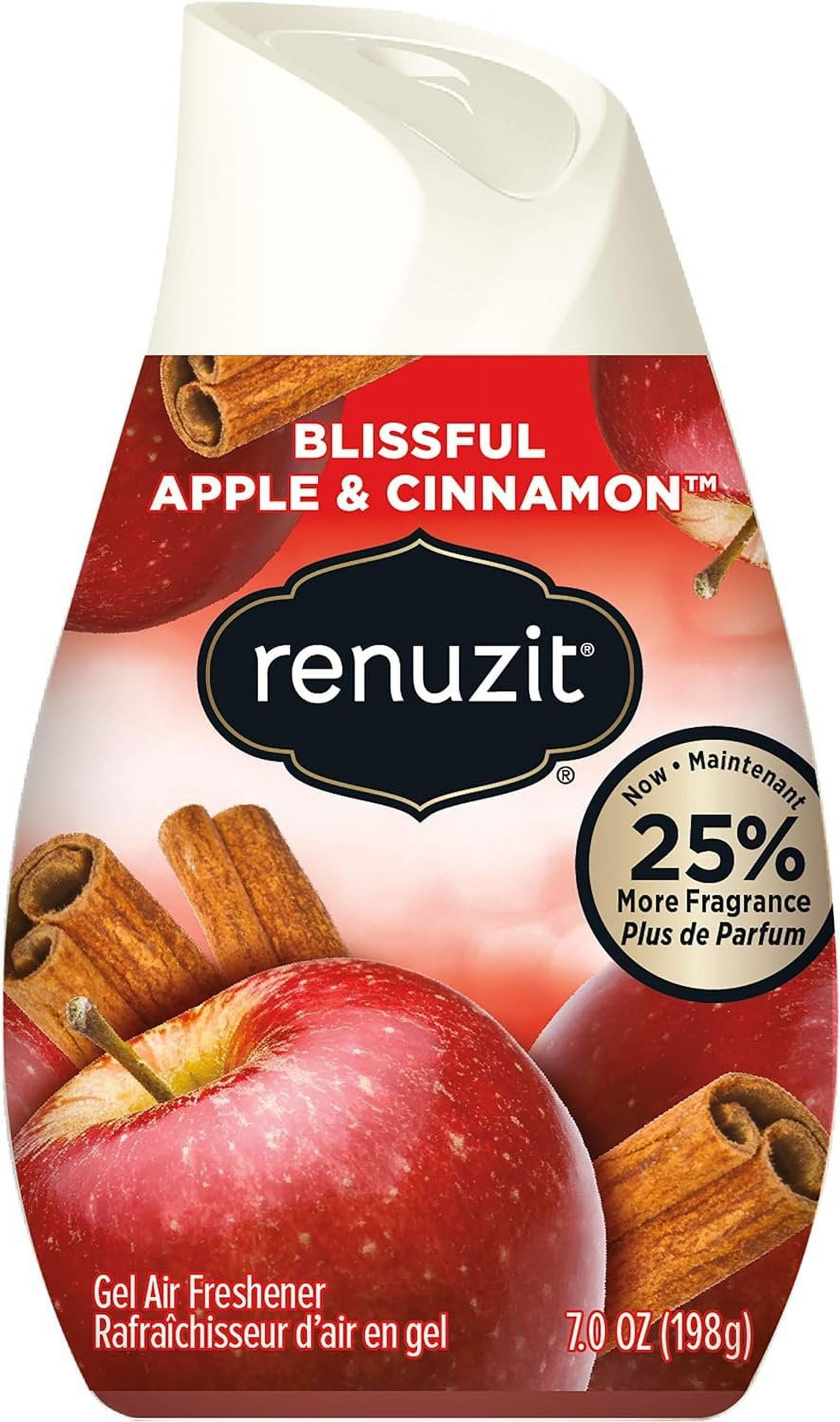 Renuzit Air Freshener, Blissful Apple Cinnamon, 7 Ounce, Long-Lasting ...
