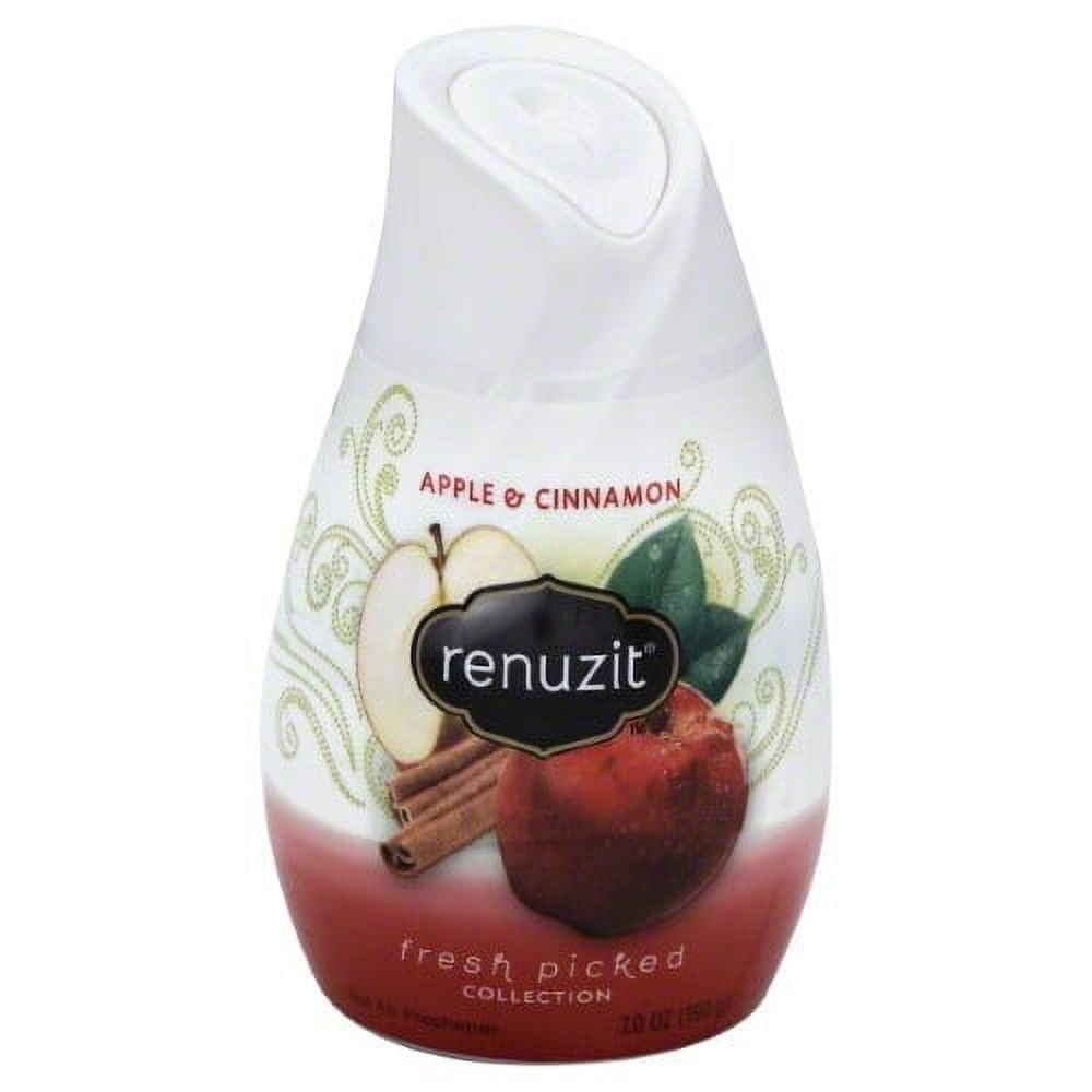 Renuzit Air Freshener Blissful Apples & Cinnamon 7 oz (Pack of 2 ...