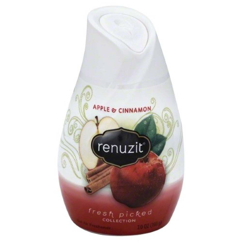 Renuzit Air Freshener Blissful Apples & Cinnamon 7 oz (Pack of 5 ...