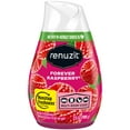 Renuzit Gel Air Freshener, Forever Raspberry Scent, Adjustable Cone, 7. ...