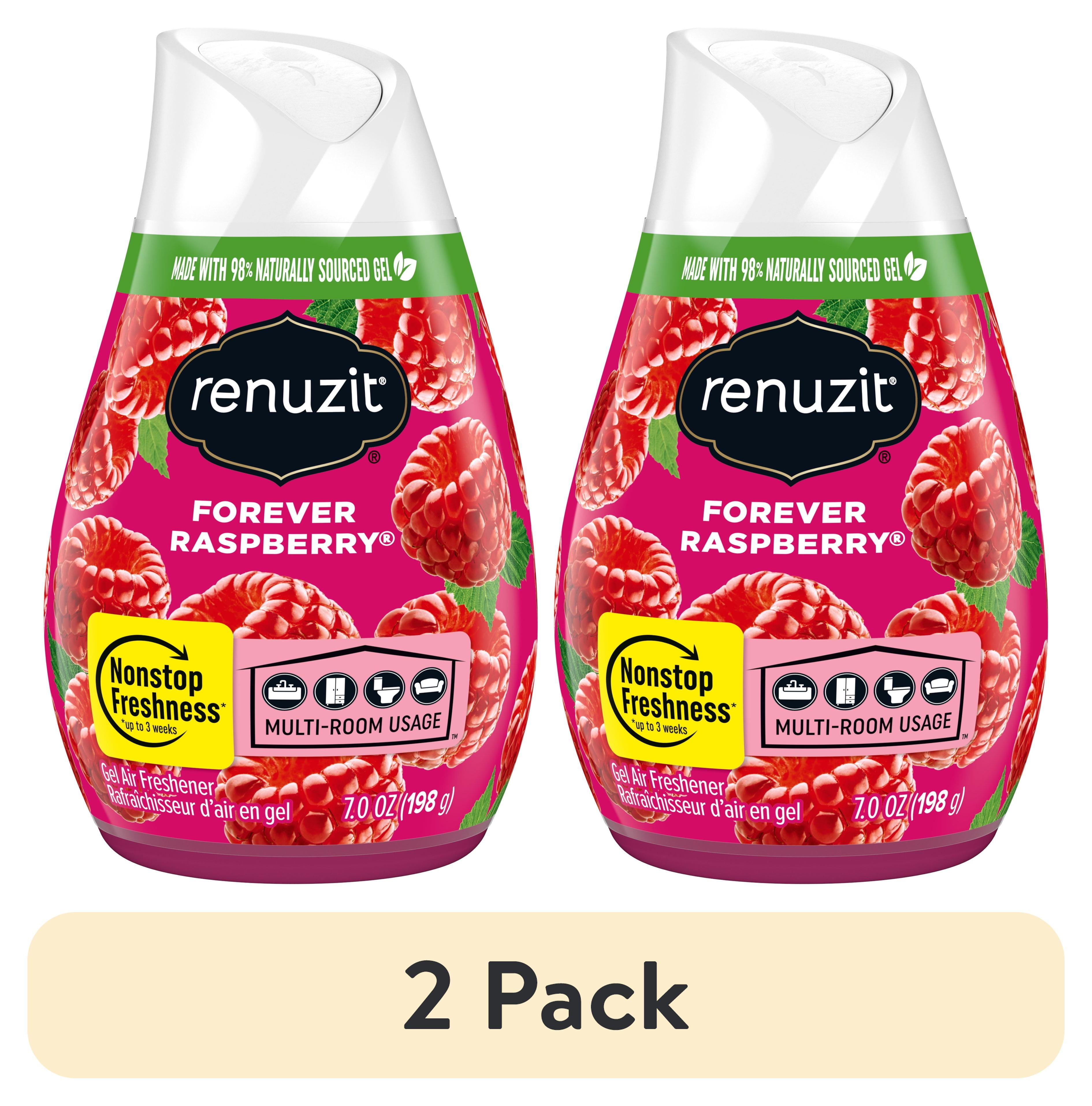 (2 pack) Renuzit Gel Air Freshener, Forever Raspberry, 7.0 Ounce ...