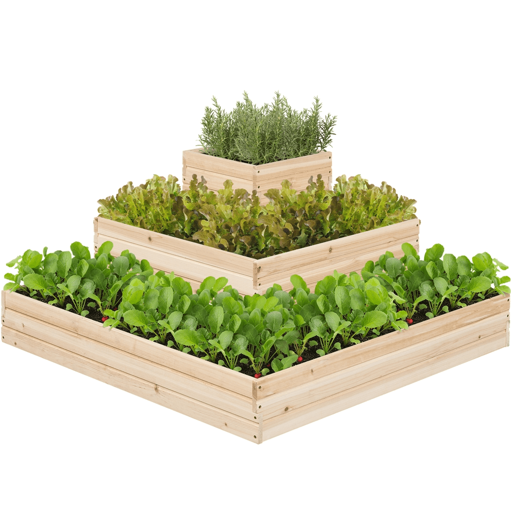 Renwick 3-Tier Open-Bottom Raised Garden Bed for Flowers Herbs ...