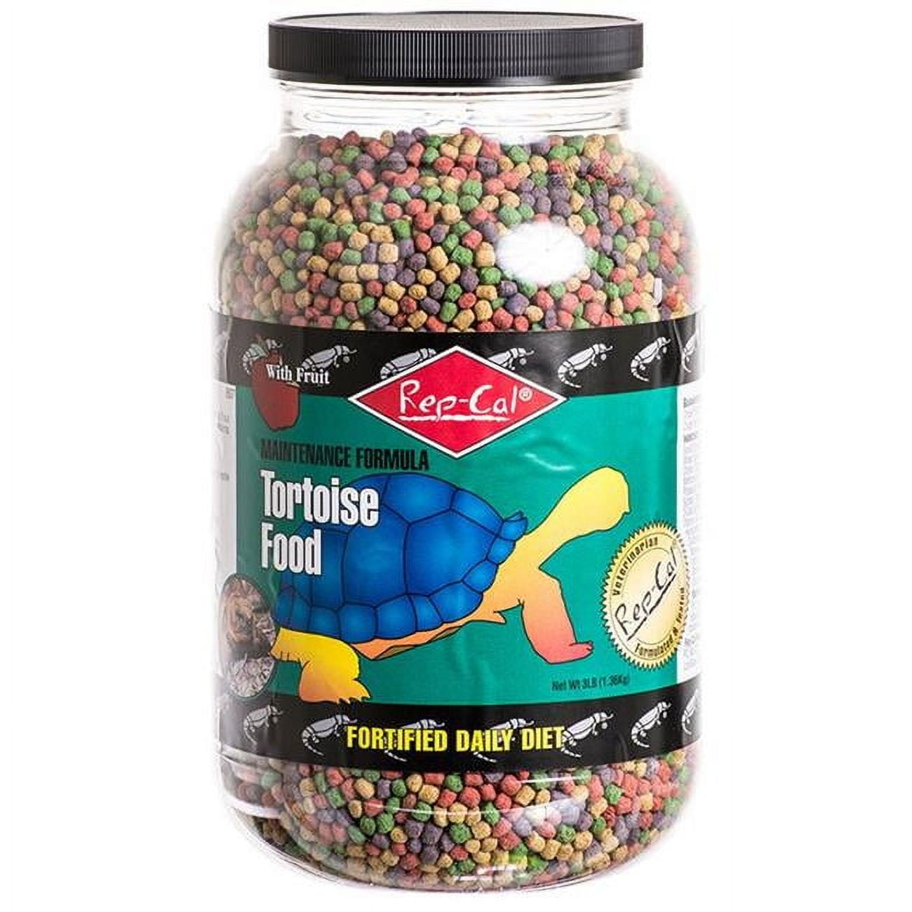 Rep-Cal Premium Complete Nutrition Tortoise Food for Reptile Pets ...