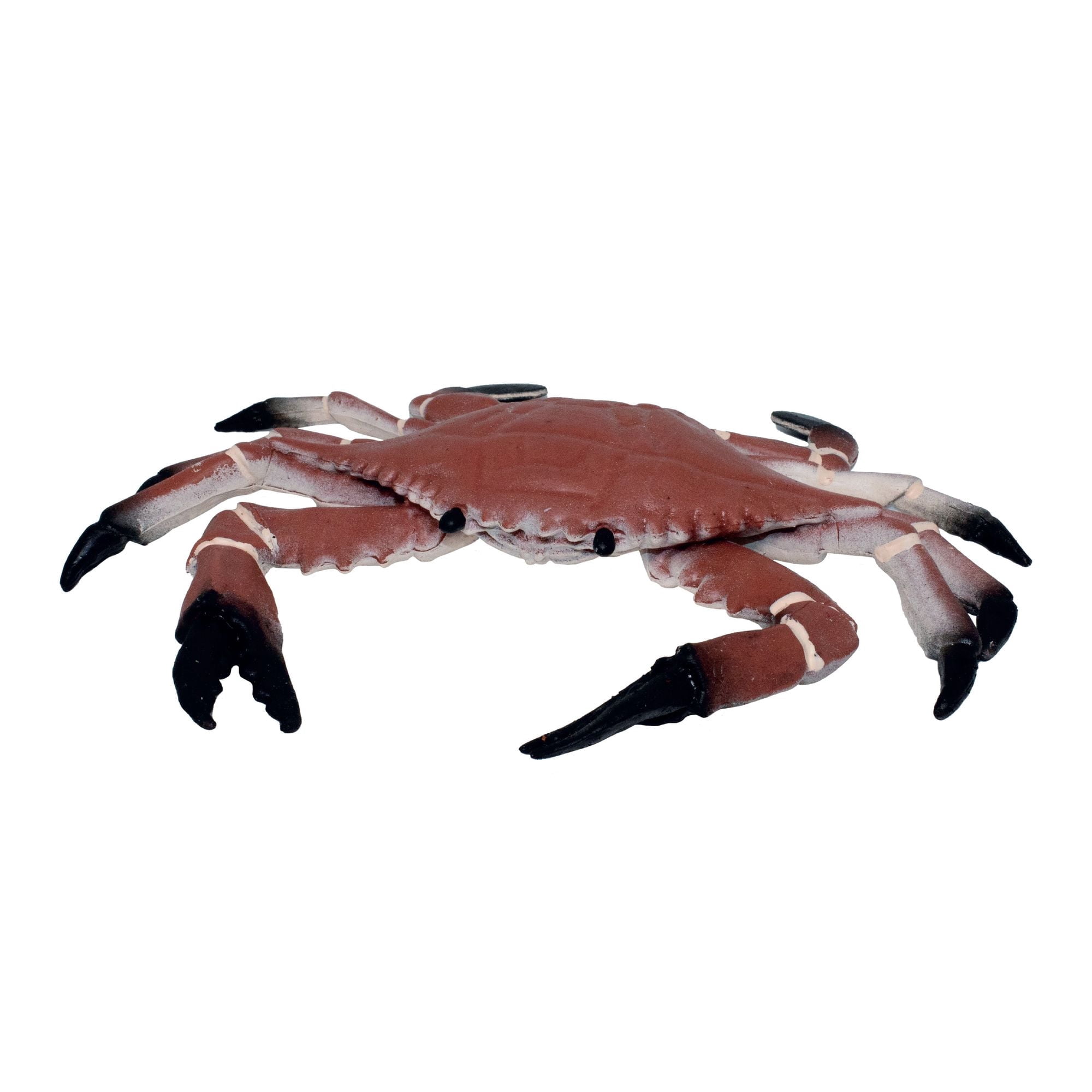 Rep Pals Crab Stretchy Toy by Deluxebase – Real-Feel Super Stretchy ...