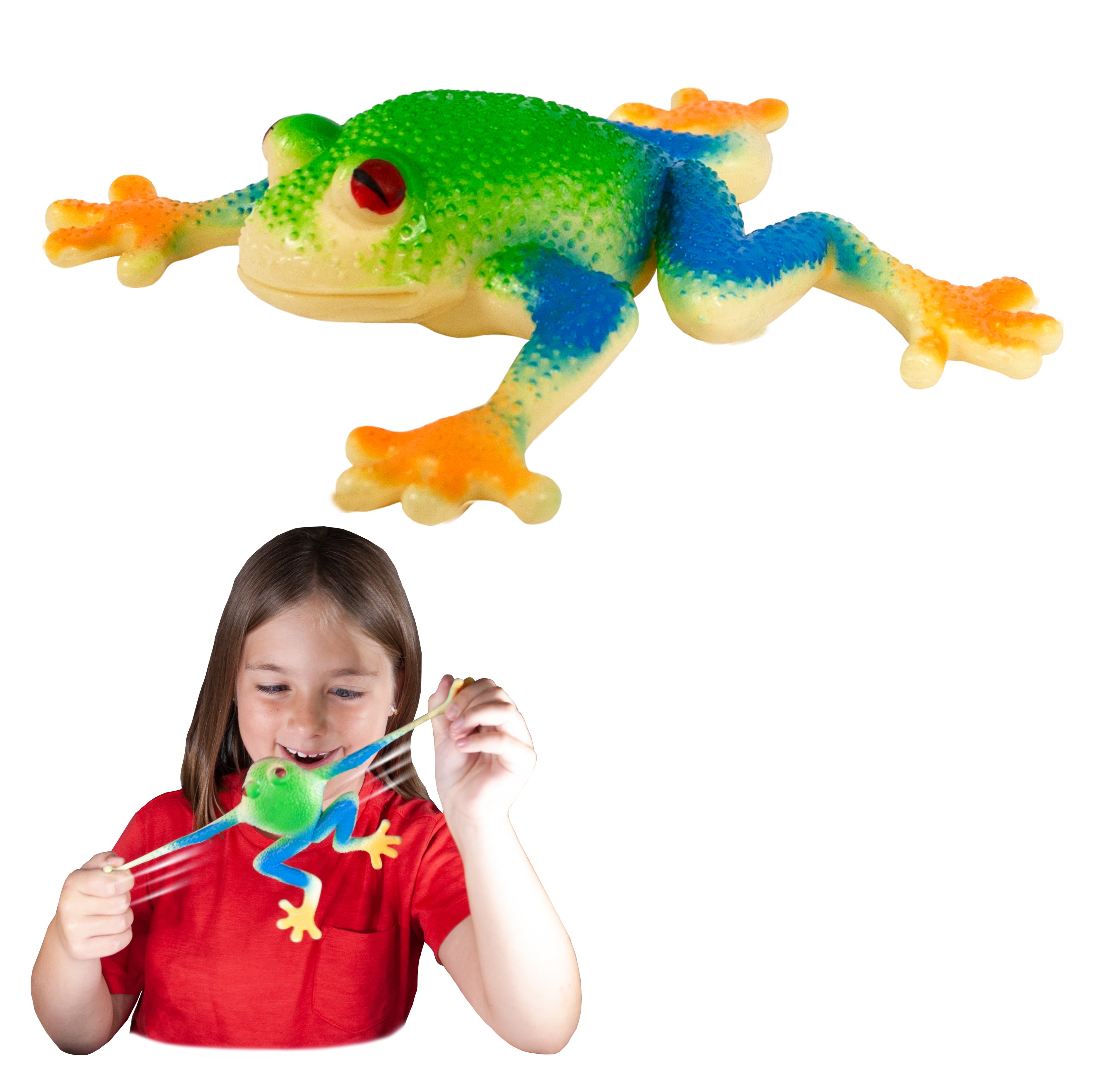Rep Pals Red Eyed Tree Frog Stretchy Toy from Deluxebase Realistic ...