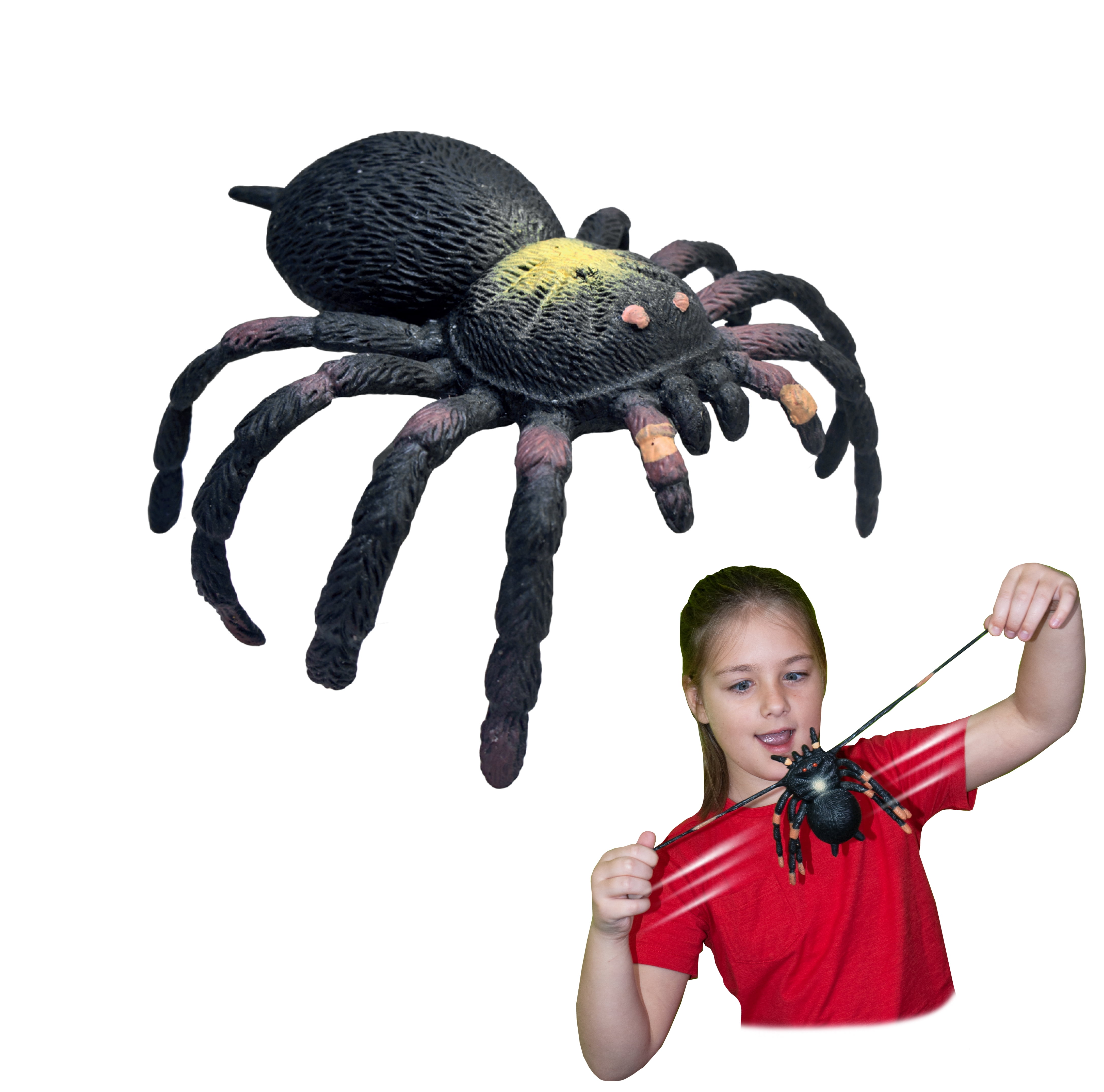 Rep Pals - Tarantula, Stretchy Toy from Deluxebase. Super stretchy ...