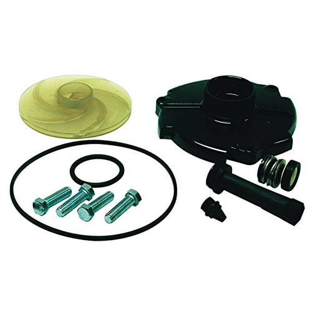 Repair KIT ACE 10S by 2 O MfrPartNo FPPKS100-P2 - Walmart.com