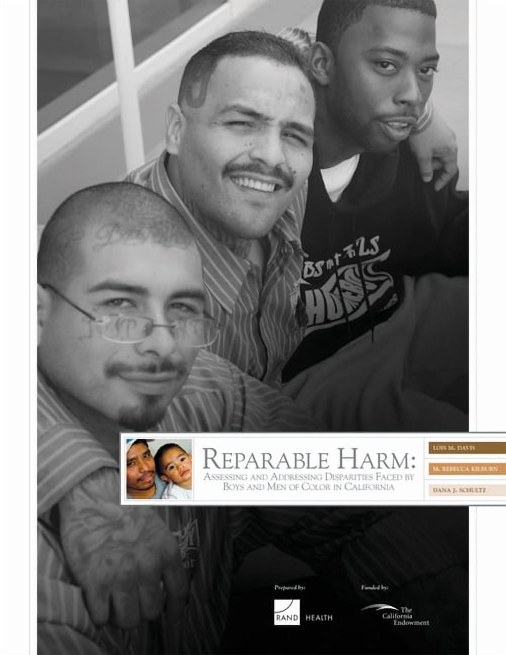 Reparable Harm: Assessing and Addressing Disparities Faced by Boys and ...
