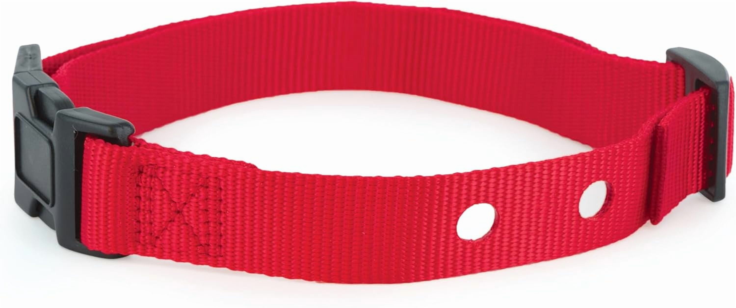 Replacement Collar Strap with 2 Holes - Adjustable Design for In-Ground ...