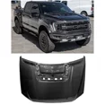 Replacement For 2021-Present Ford F-150 Raptor Models | Factory Style ...