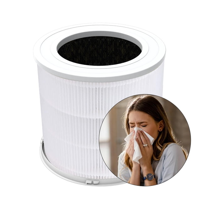 GCZ H13 True HEPA Replacement Filter for AP302 & AP304 Air Purifier ...