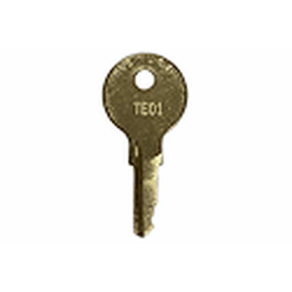 Replacement Key for Hudson TE107 - Walmart.com
