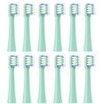 Colgate Hum Compatible Replacement Toothbrush Heads, Smart Battery ...