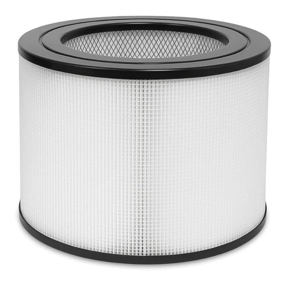 Replacement True HEPA Air Filter Compatible with 50250 50250-S Part ...