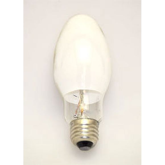 100W Halogen Bulbs