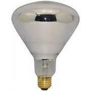 R40 Bulbs