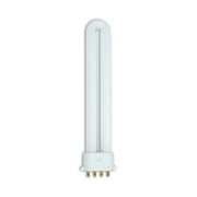 Pl13w Bulb