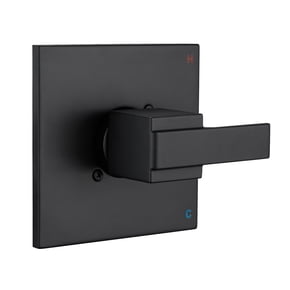 Delta Shower Trim Kit